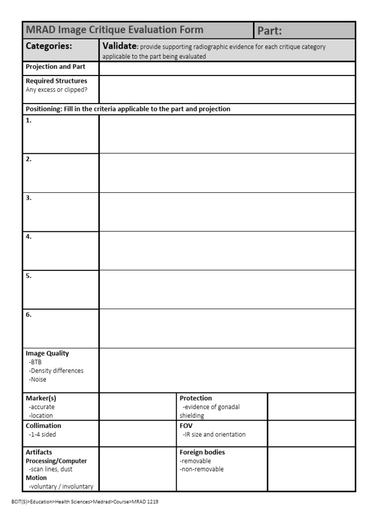 Fillable Critique Form | PDF