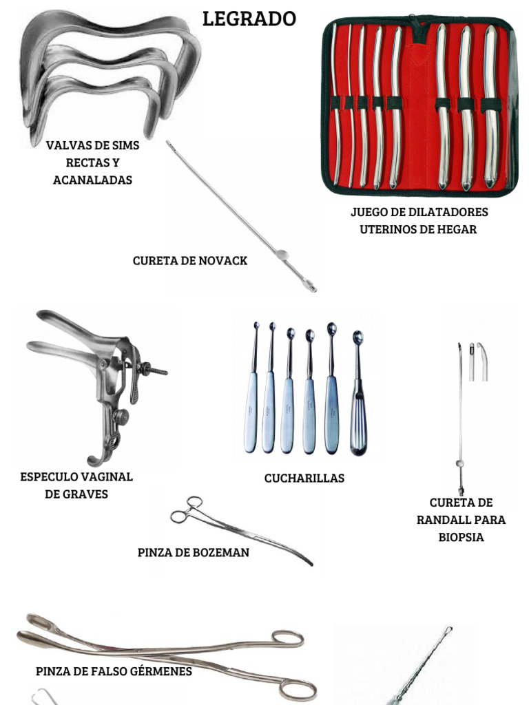 13 Legrado | PDF