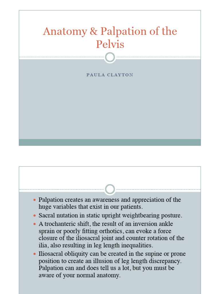 Anatomy & Palpation of The Pelvis | PDF | Pelvis | Hip