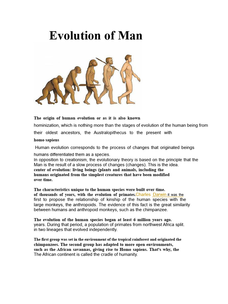 Activity Topic 1 Block 2 | PDF | Human Evolution | Homo
