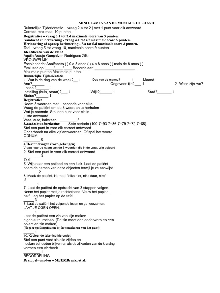 Geestelijke Anamnese Formulier_ Mini Mentale Status Test | PDF