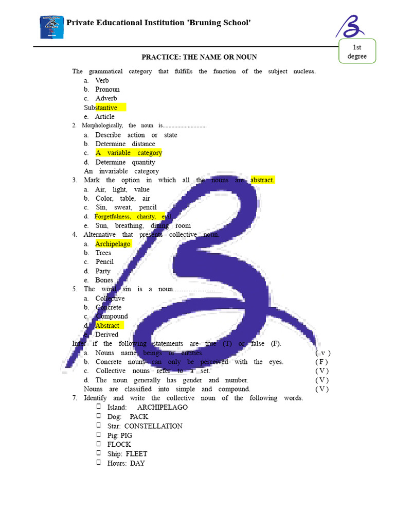 Noun Classification Practice Guide | PDF
