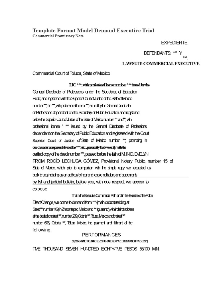 Template Format Model Demand Executive Commercial Trial Promissory Note | PDF | Common Law | Justice
