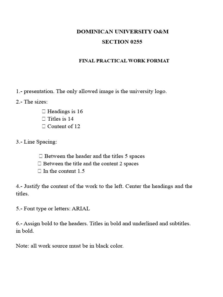 Final Practical Work Format | PDF