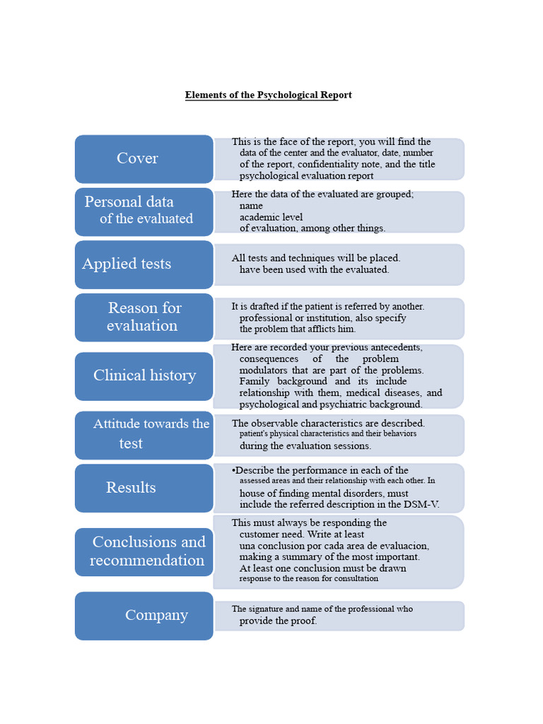 Elements of The Psychological Report | PDF