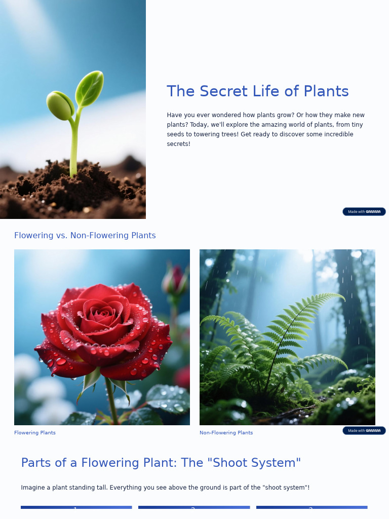 Discovering Plant Growth Secrets | PDF | Flowers | Plants