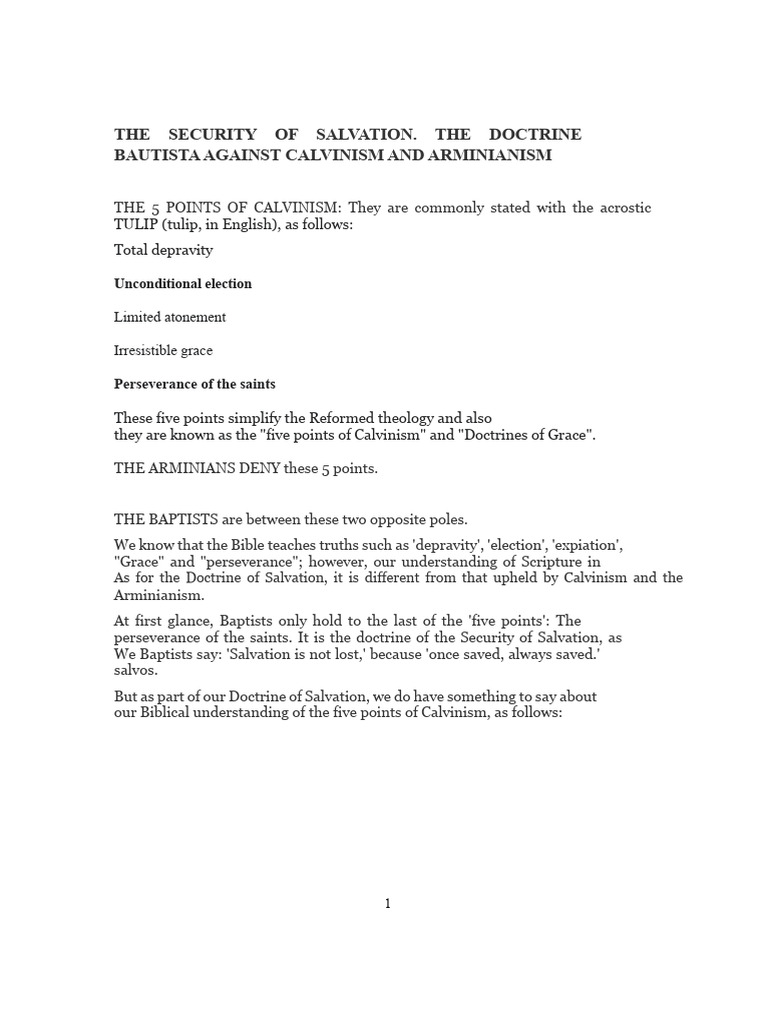 Baptists' View on Calvinism's Five Points | PDF | Perseverance Of The ...