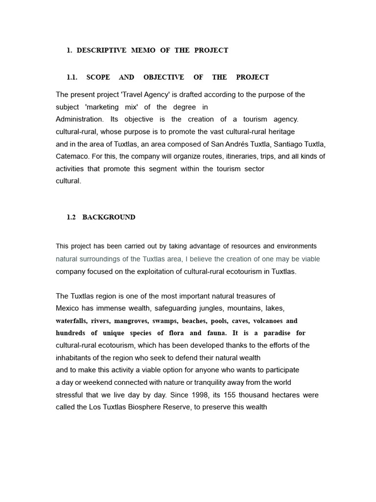 DESCRIPTIVE MEMORY OF THE PROJECT Travel Agency | PDF