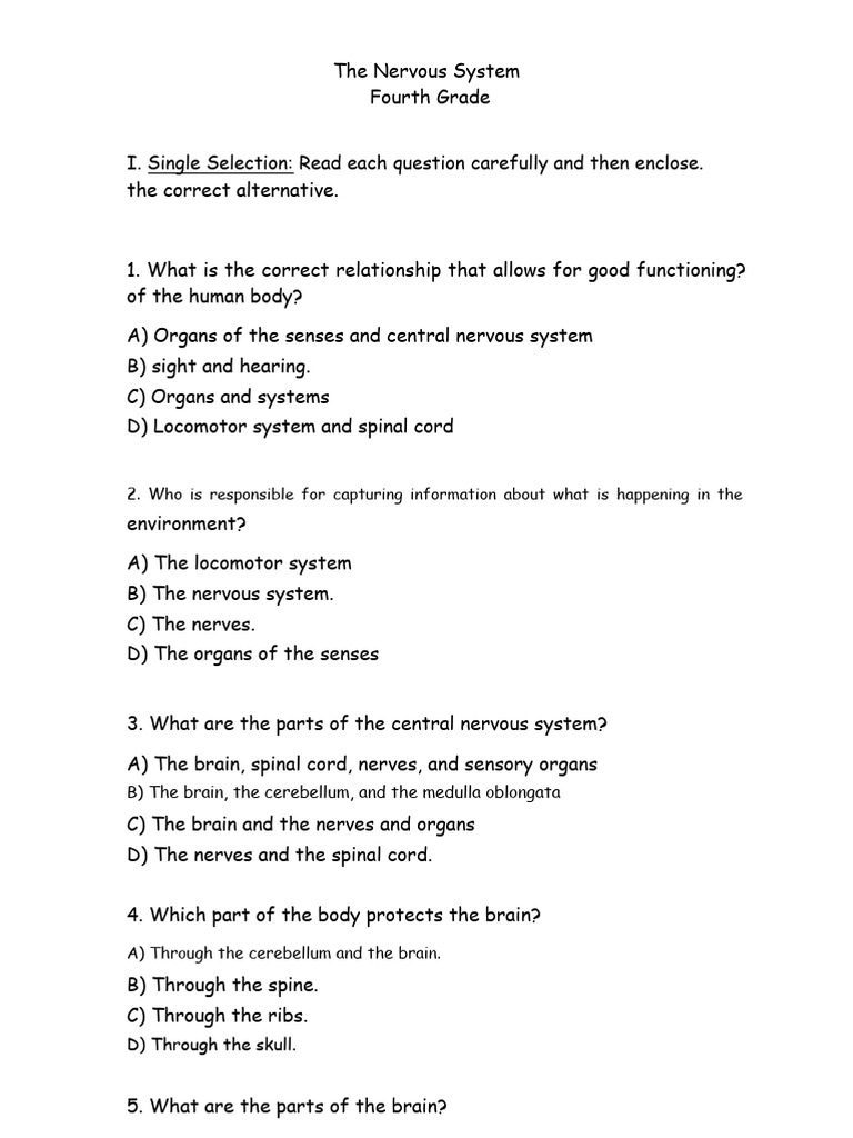 Natural Sciences Test Nervous System Fourth Grade | PDF