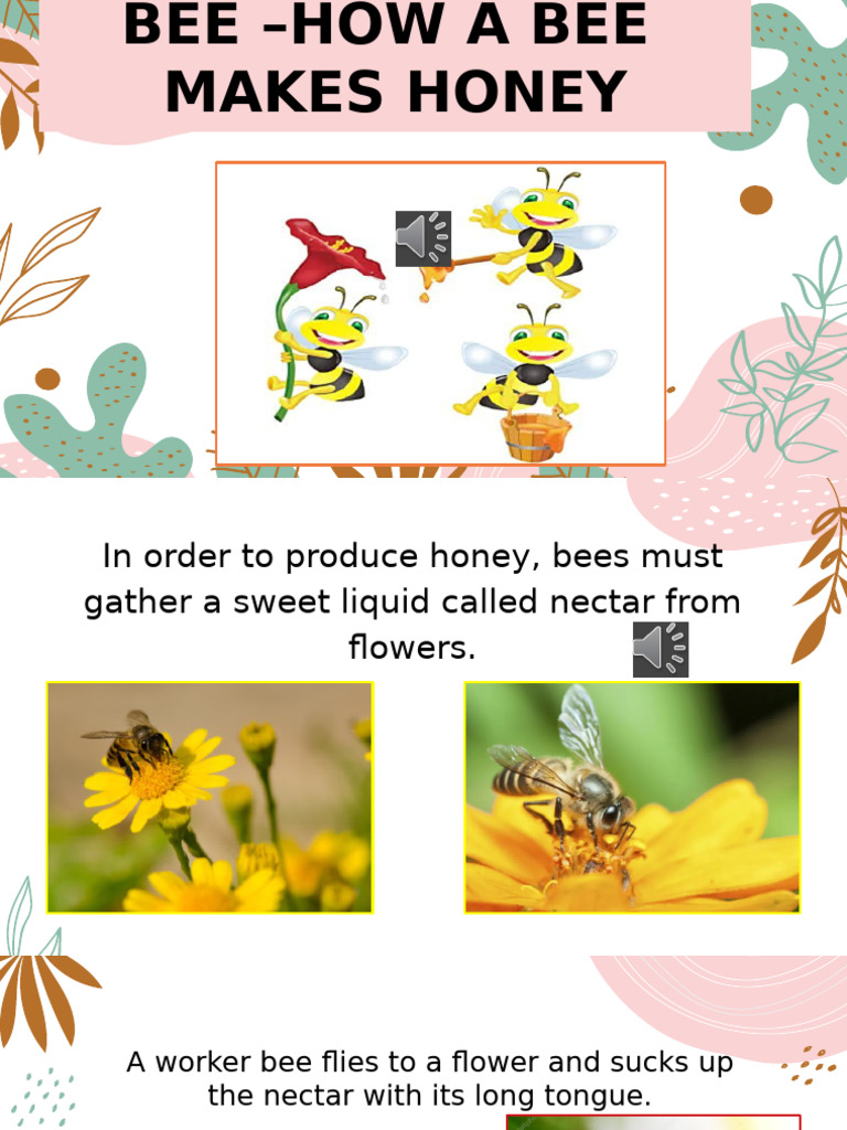 How A Bee Makes Honey | PDF