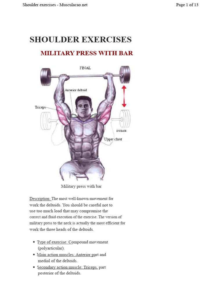 Shoulder Workout - Illustrations | PDF | Musculoskeletal System | Human ...