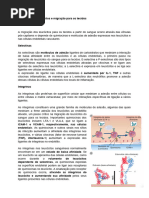 Entendendo a Quimiotaxia | PDF | Quimiotaxia | Sistema imunológico