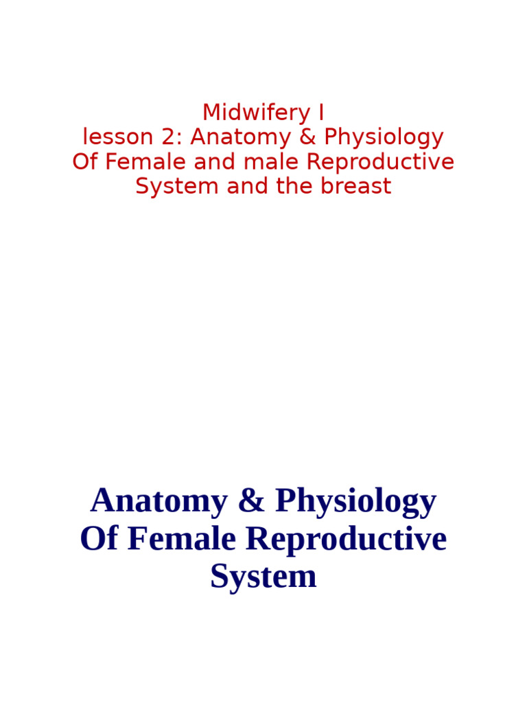 Anatomy & Physiology of Reproductive Systems | PDF | Menstrual Cycle ...