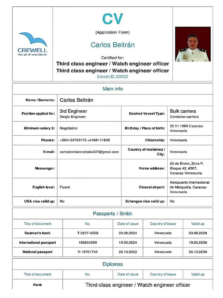 CV Single Engineer | PDF