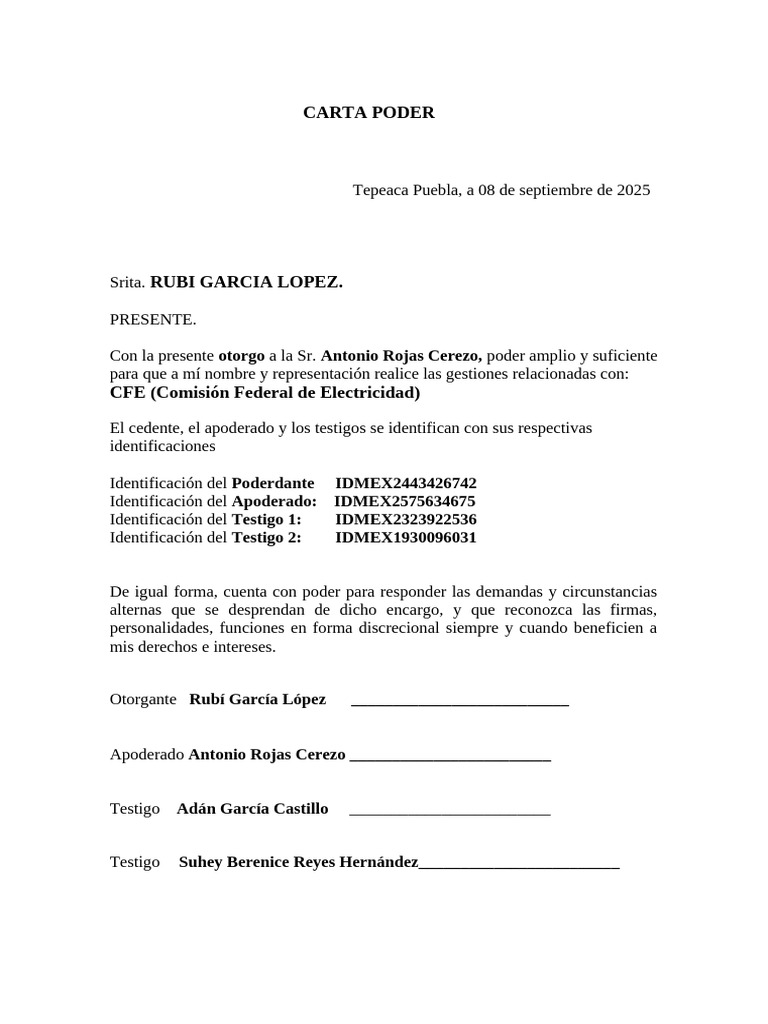 Carta Poder para CFE | PDF