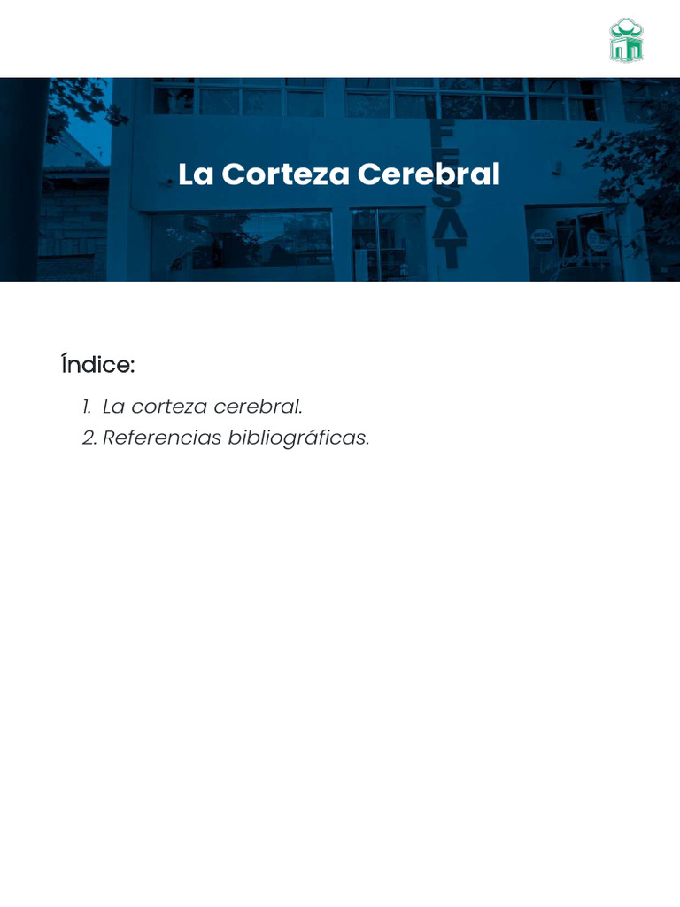 La Corteza Cerebral | PDF | Cerebro | Sistema límbico