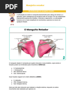 Testes Avaliativos de Mmss (Teste de Patte, Gerber) | PDF | Dor ...