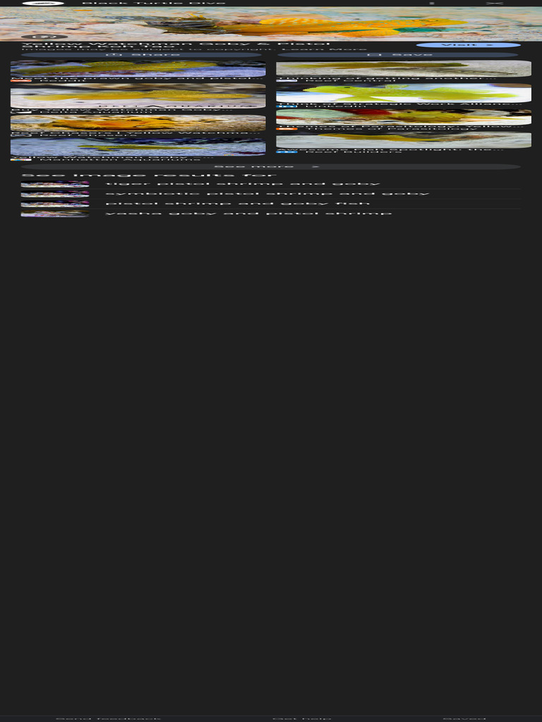 pistol shrimp and goby - Google Search | PDF | Fish And Humans ...