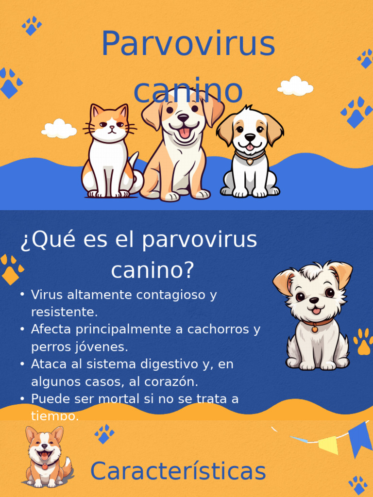 Parvo Virus | PDF