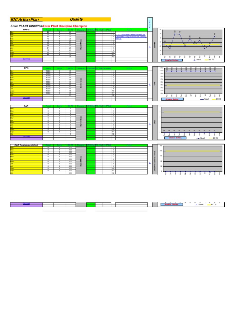 BIC Action Plan Quality 2009 | PDF | Business