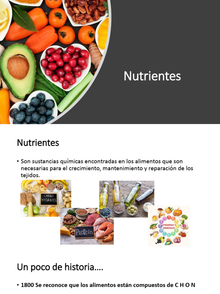Nutrientes: Historia y Funciones Esenciales | PDF | Solución tampón ...