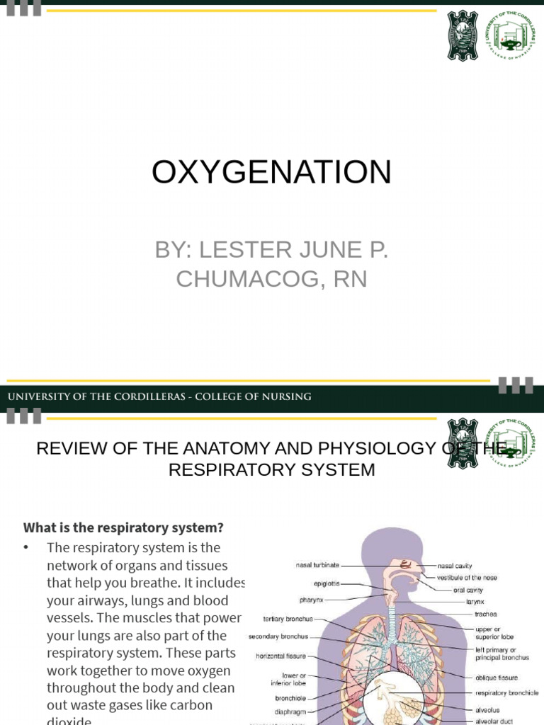 Oxygenation and CPT | PDF | Lung | Respiratory System