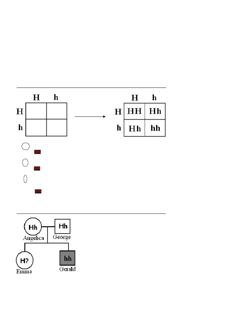 Bobby Kerns - Autosomal - Recessive - Inheritance - Worksheet | PDF ...