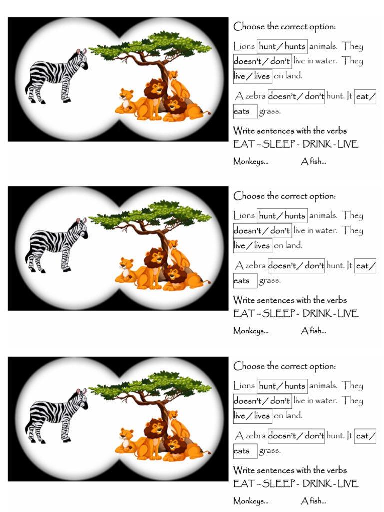 Present Simple with Animals | PDF
