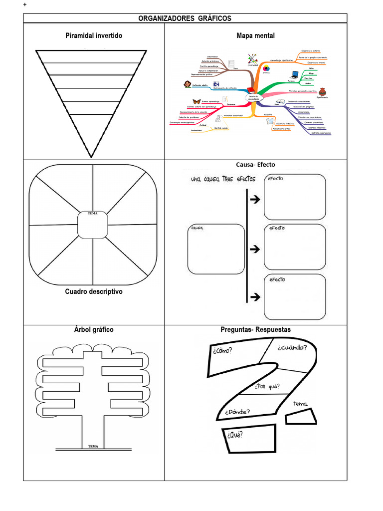Organizadores Gráficos | PDF