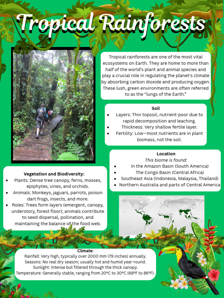 Tropical Rainforests Poster | PDF