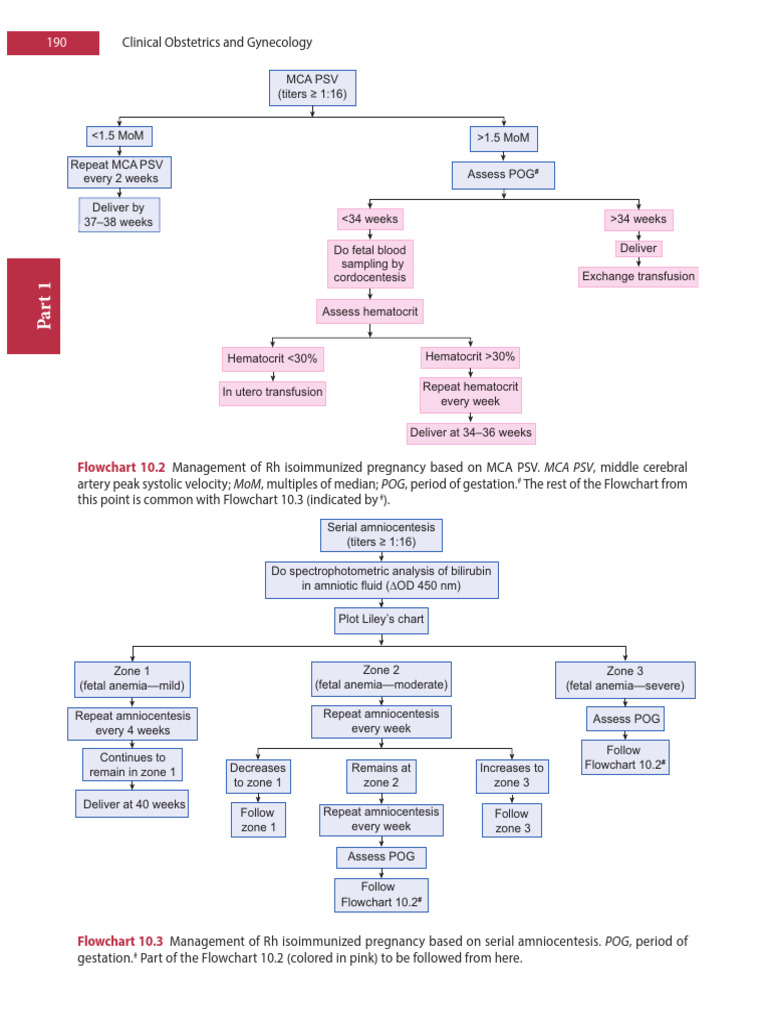 Clinical Obstetrics and Gynecology 2e Sharmila Split 214 | PDF | Tissue ...