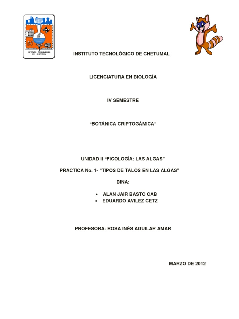 Práctica 1 - Microalgas | PDF | Algas | Plantas