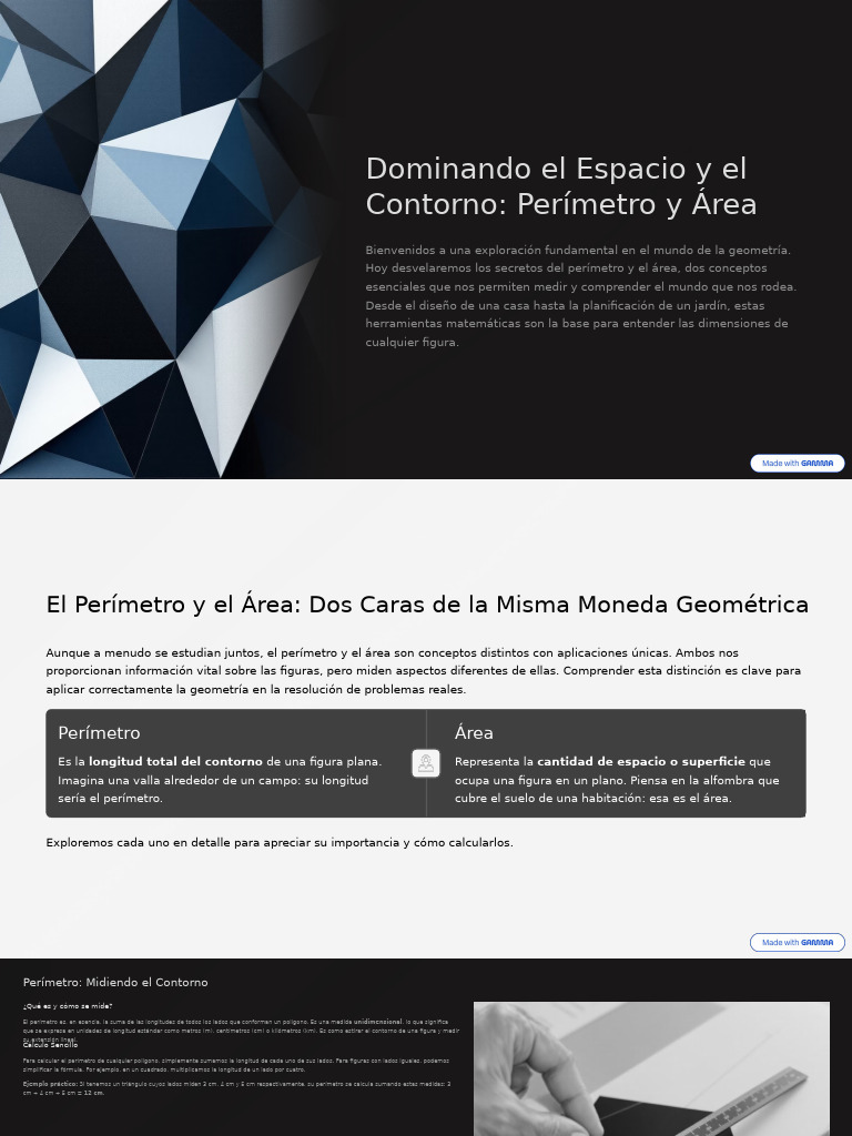 Perímetro y Área: Conceptos Clave | PDF | Zona | Longitud