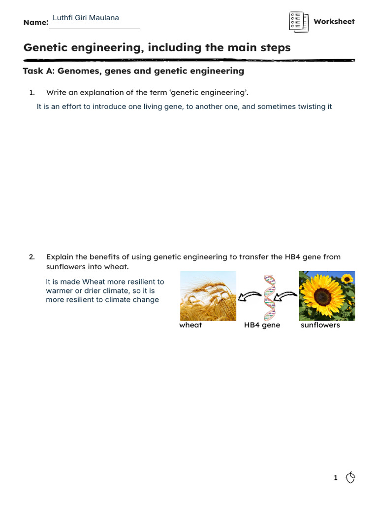 Genetic Engineering - Worksheet-Questions | PDF | Genetic Engineering ...