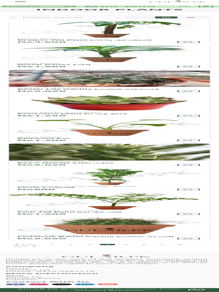 Online Plant Nursery: Gulab.pk | PDF