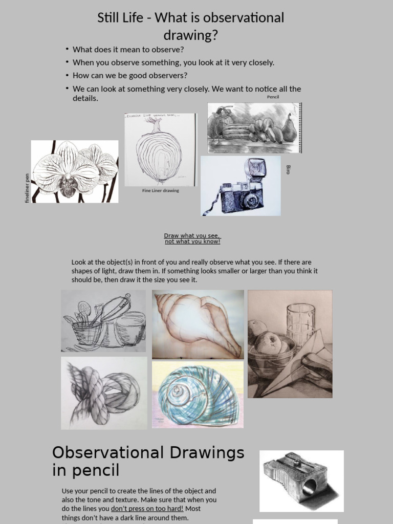 Observational Drawing | PDF