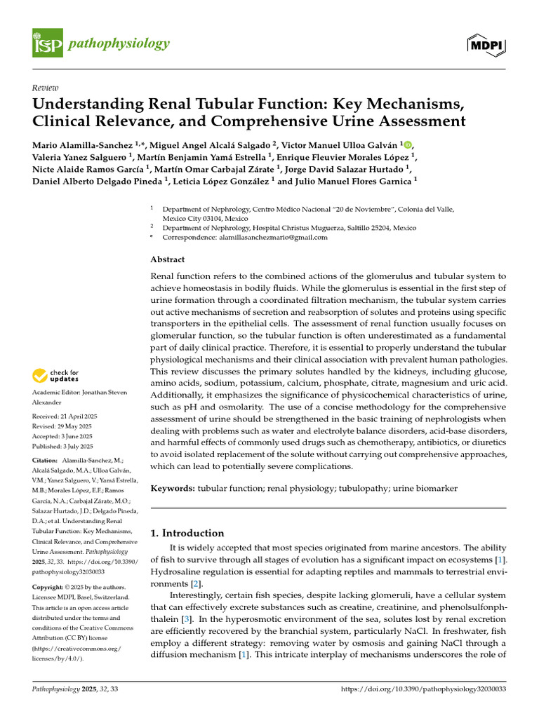 Key Mechanisms of Renal Tubular Function | PDF | Kidney | Chronic ...