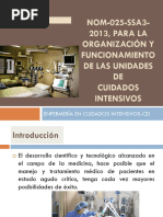 Resumen Norma 025 | PDF | Unidad de Cuidados Intensivos | Enfermedades ...