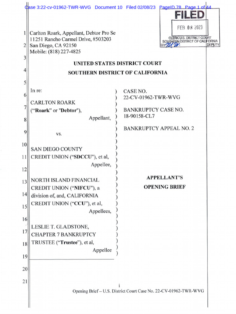 U.S. District Court Opening Brief | PDF
