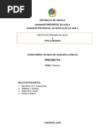 Agendamento de Passaporte no SIAC Luanda | PDF