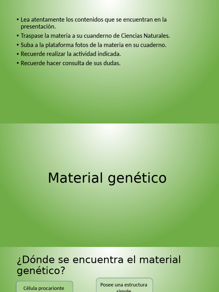 Material Genético: Estructura y Replicación | PDF | Replicación De Adn ...