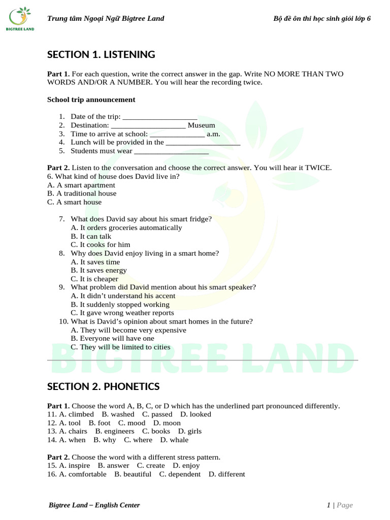 Grade 6 English Exam Preparation Guide | PDF