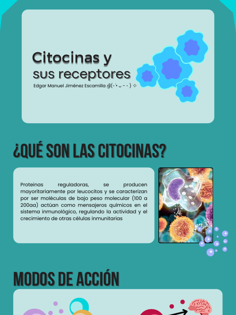Citocinas y Componentes Celulares de La Inmunnida Innata | PDF ...