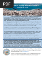 Cultura y Tradiciones de los Misquitos | PDF | Nicaragua | Chamanismo