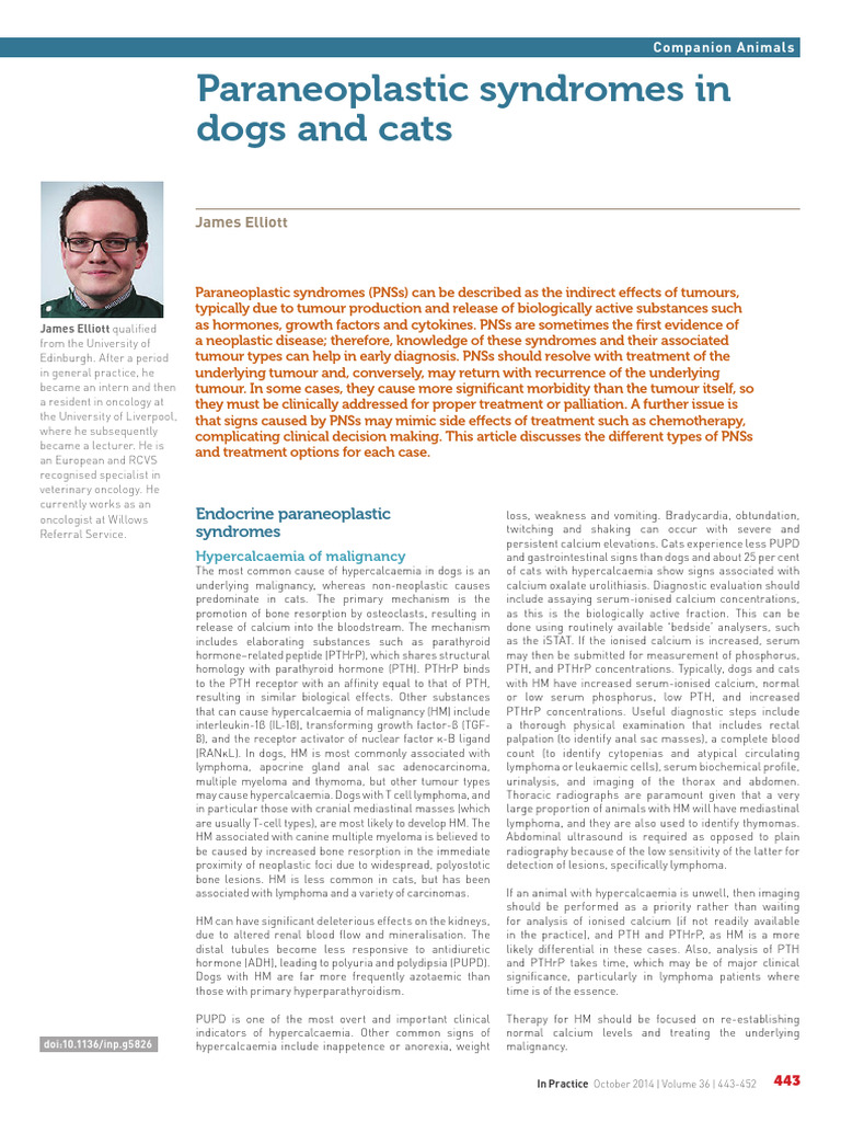 Paraneoplastic Syndromes in Dogs | PDF | Hypoglycemia | Oncology