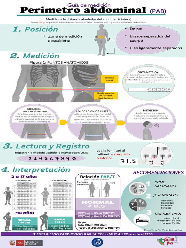 Cómo medir el perímetro abdominal | PDF