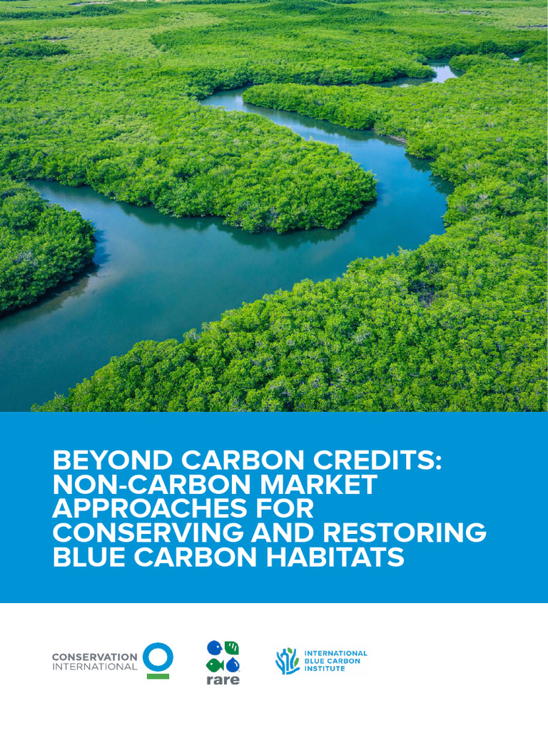 Non Carbon Market Approaches For Conserving Restoring Blue Carbon ...