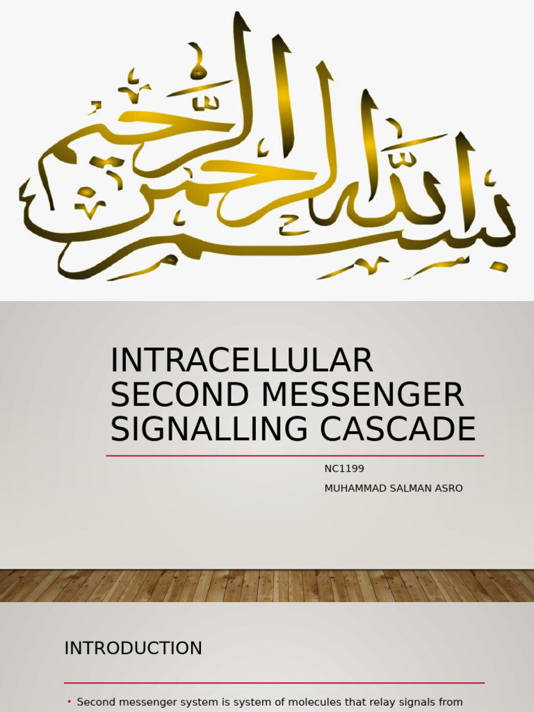 Intracellular Second Messenger Signalling Cascade by Salman | PDF ...