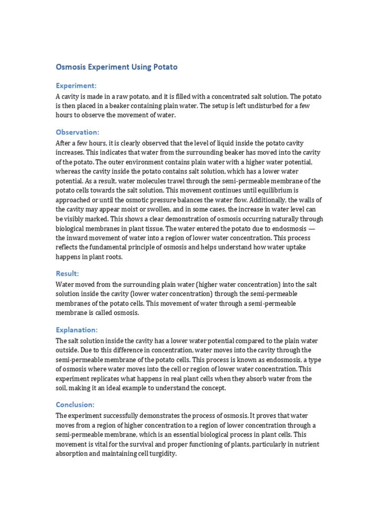 Osmosis in Potato Cavity Experiment | PDF | Osmosis | Cell Biology