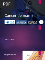 Pai Ca Mama | PDF | Cáncer de mama | Pecho